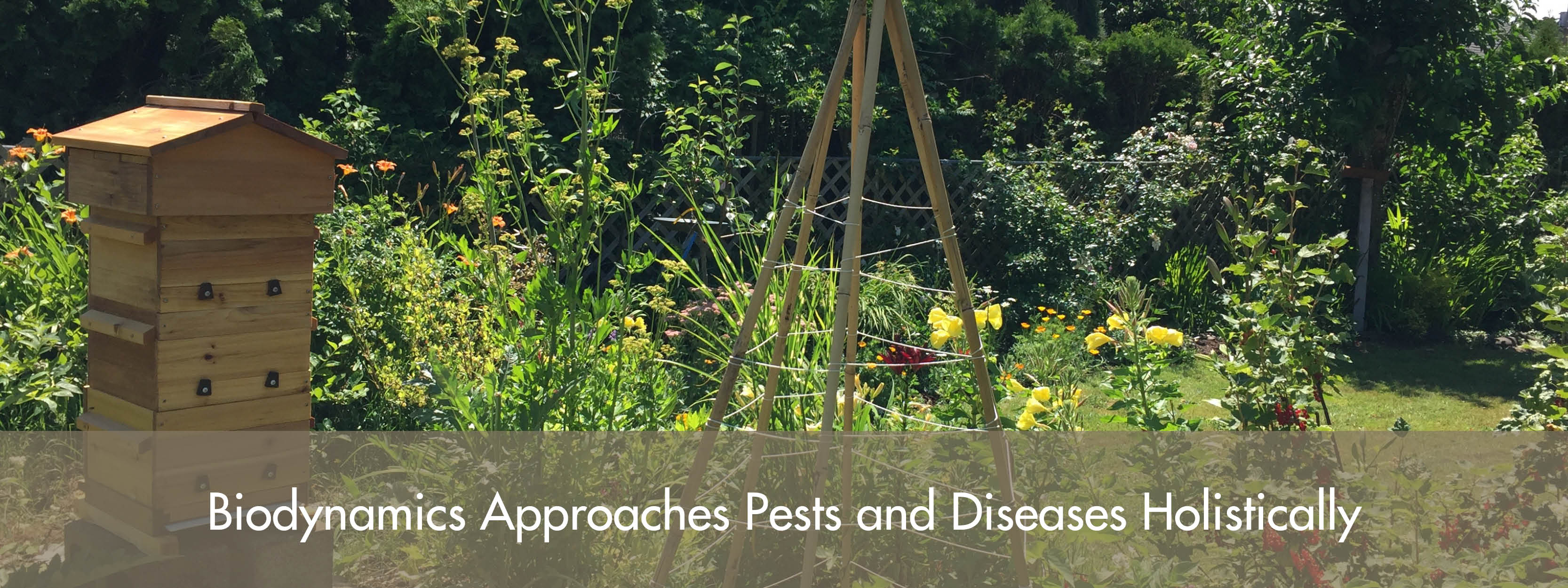 What Is Biodynamics? | Biodynamic Association